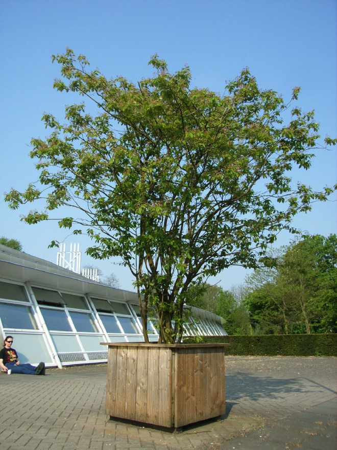 Jan den Hertog - Tuinplanten Boskoop