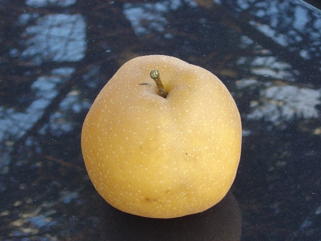 Jan den Hertog - Tuinplanten Boskoop